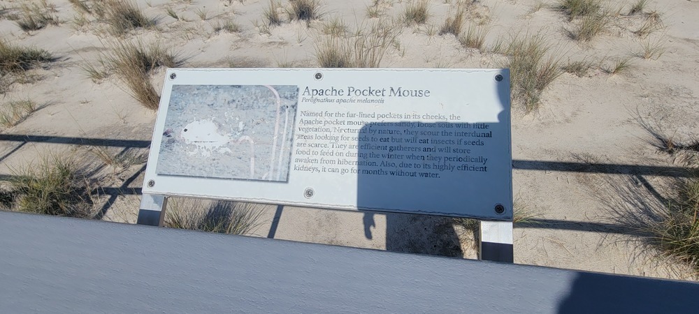 Boardwalk of the Dunes - Fat Man Little Trail