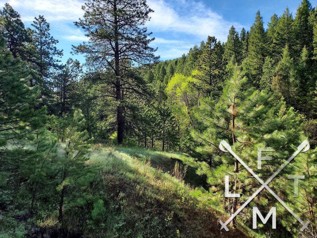 White Ranch Park - Rawhide Trail - Fat Man Little Trail