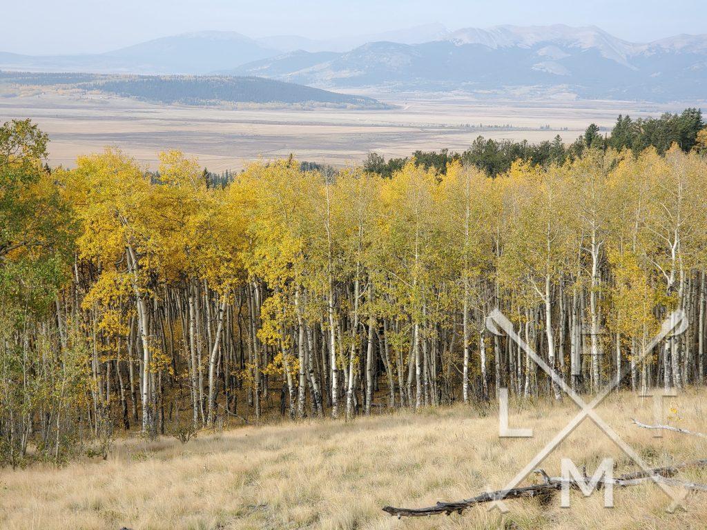 Fall Color Hike: Kenosha Pass North - Fat Man Little Trail