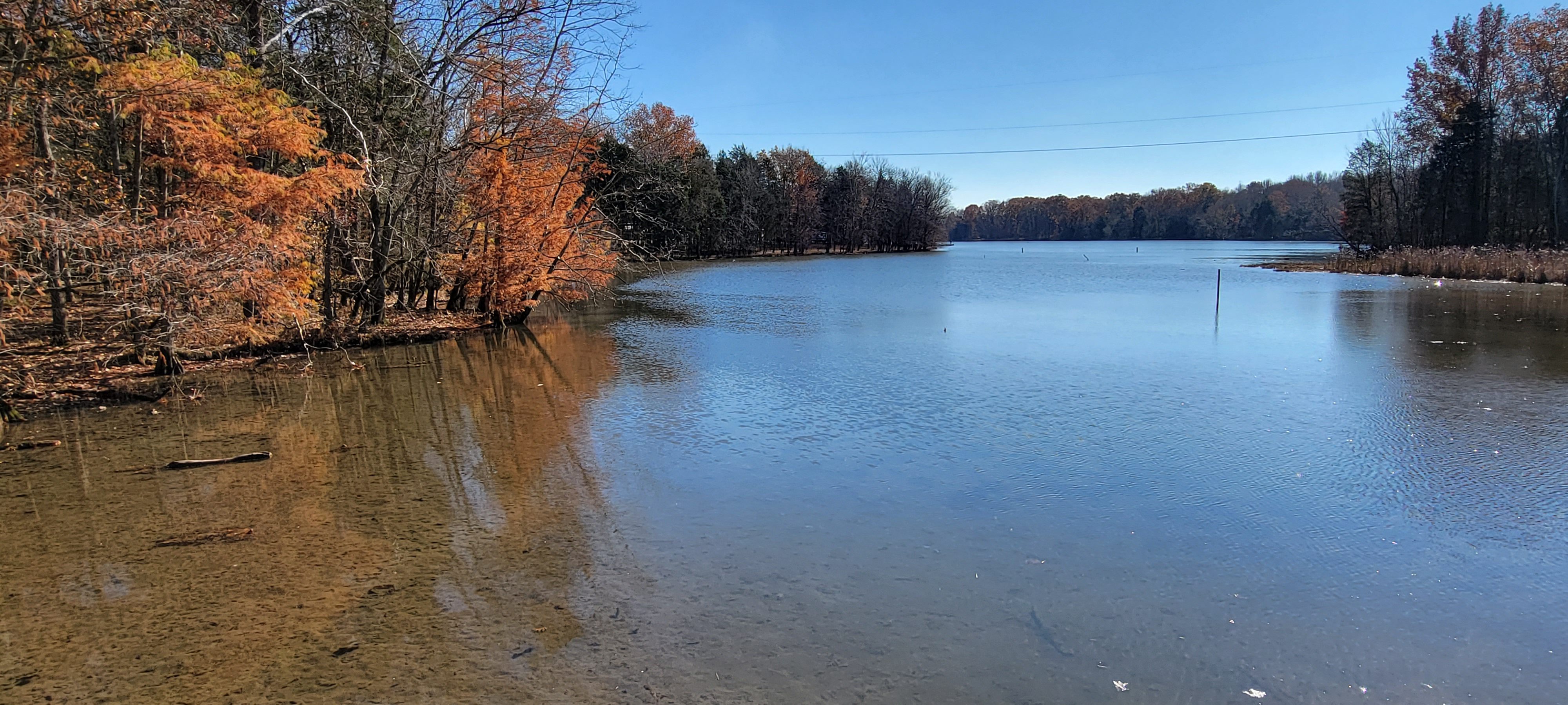 Bledsoe Creek SP: High Ridge and Shoreline - Fat Man Little Trail