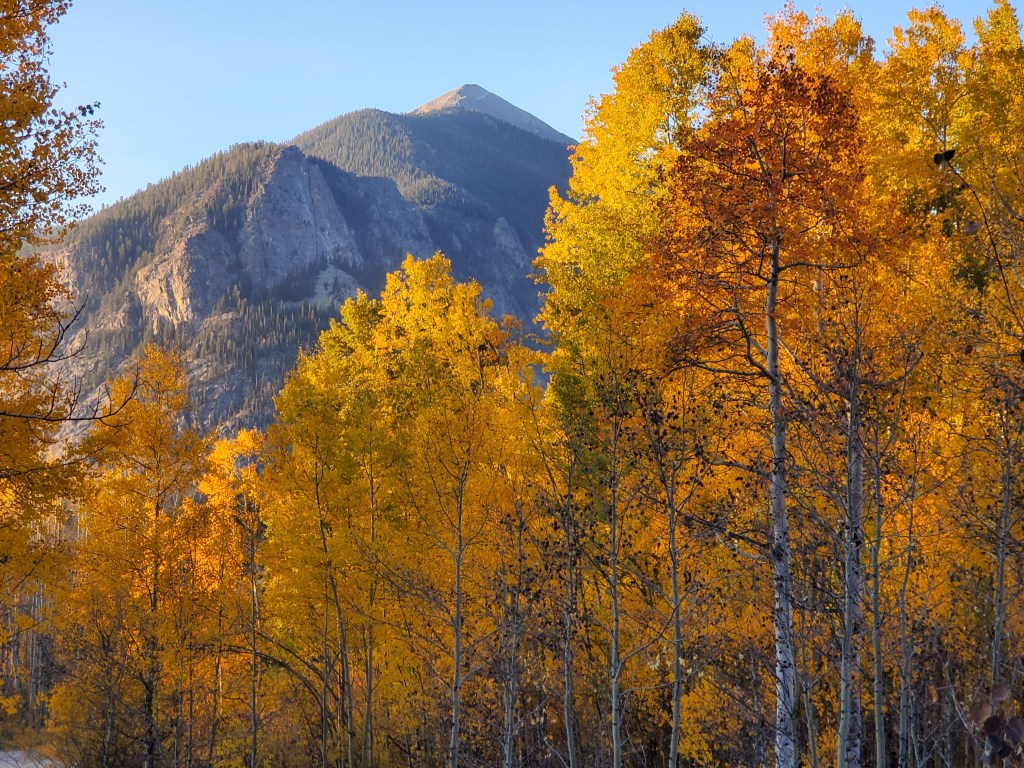 Fall Colors Near Denver as Day Hikes. - Fat Man Little Trail
