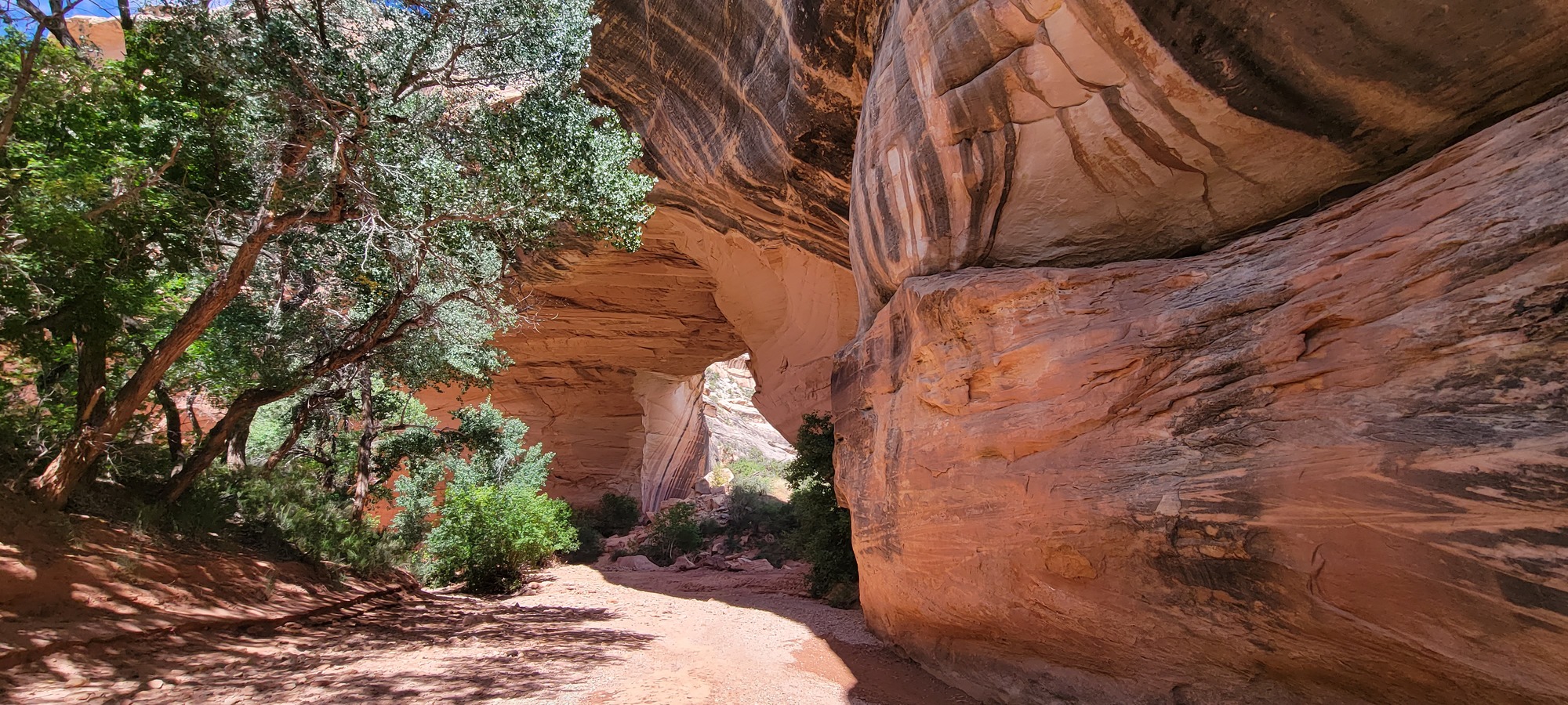 Natural Bridges: Hiking to Kachina Bridge - Fat Man Little Trail